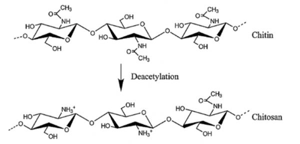 Review Komposit Pati–Kitosan: Perannya dalam Berbagai Sistem ...
